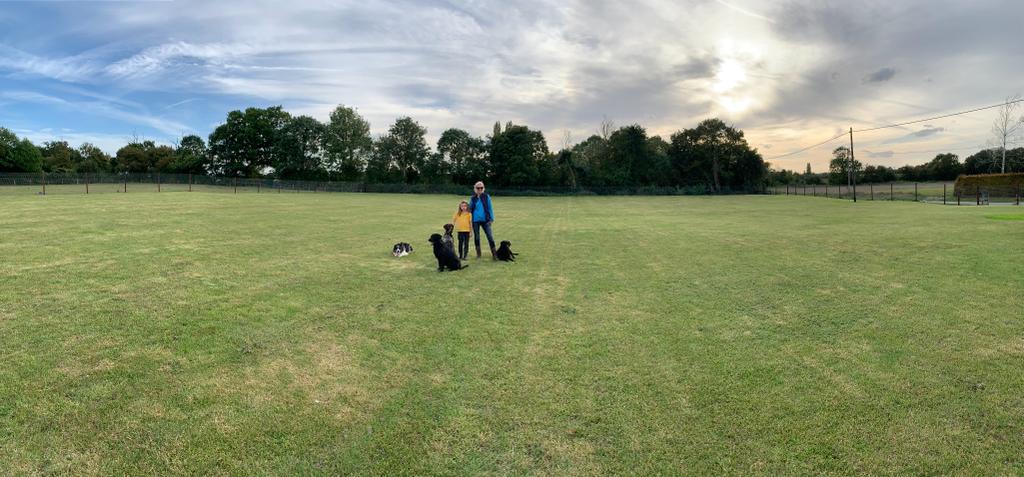 Secured Dog Field near Sudbury | Suffolk & Essex Dog Park